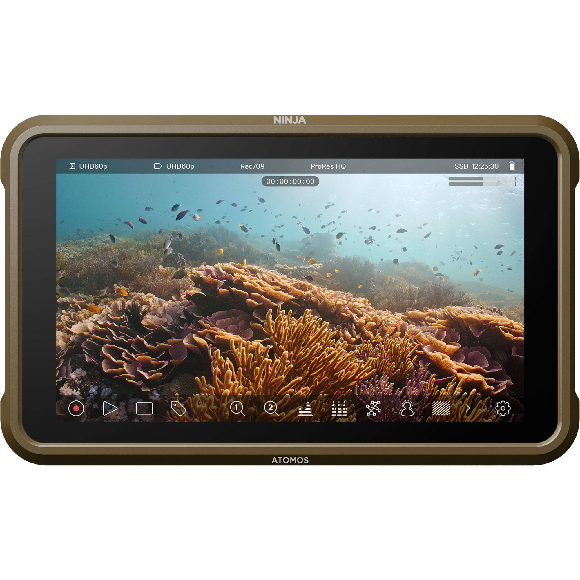 Atomos Ninja – Photo LAPLANTE