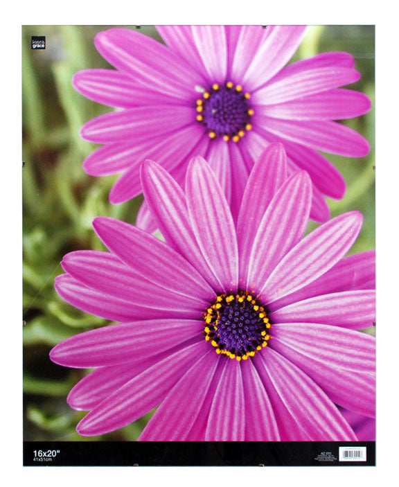 Frame Clip 16x20 – Photo LAPLANTE